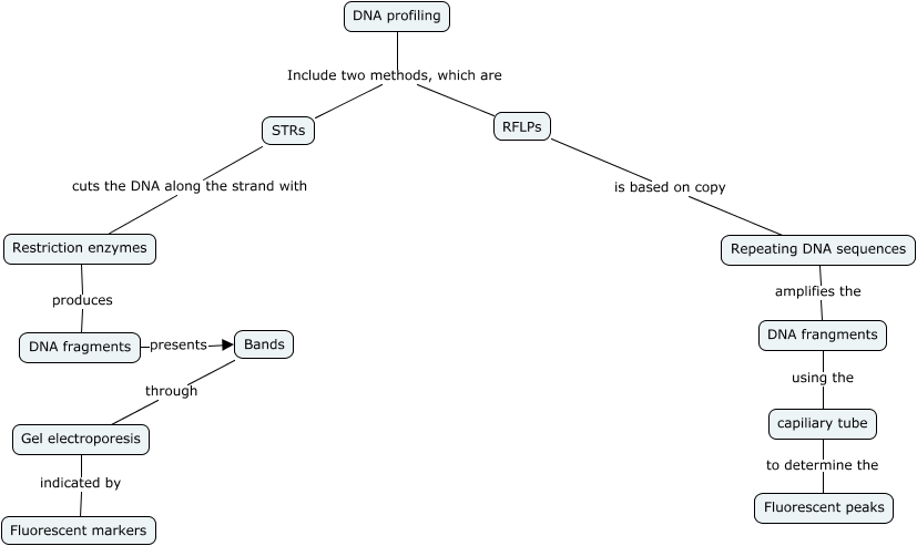 DNA Profiling - How is DNA profiling accomplished?